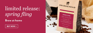 Bridgehead Coffee | Exceptional Organic Fairtrade Coffee
